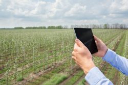 How technology is transforming agriculture towards sustainability? - Nafa